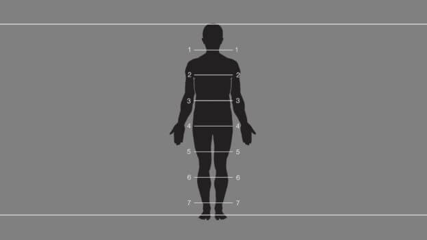 Anatomy of the Face – Vitruvian Fine Art Studio