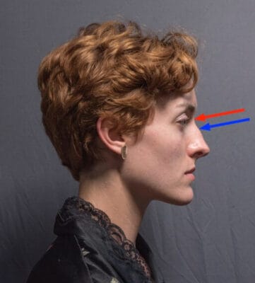 Anatomy of the Face – Vitruvian Fine Art Studio